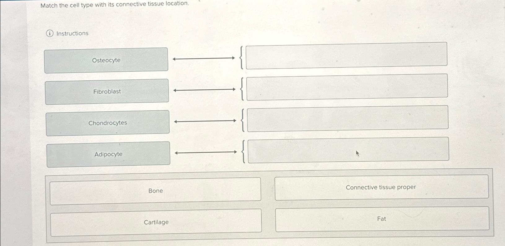 Solved Match the cell type with its connective tissue | Chegg.com