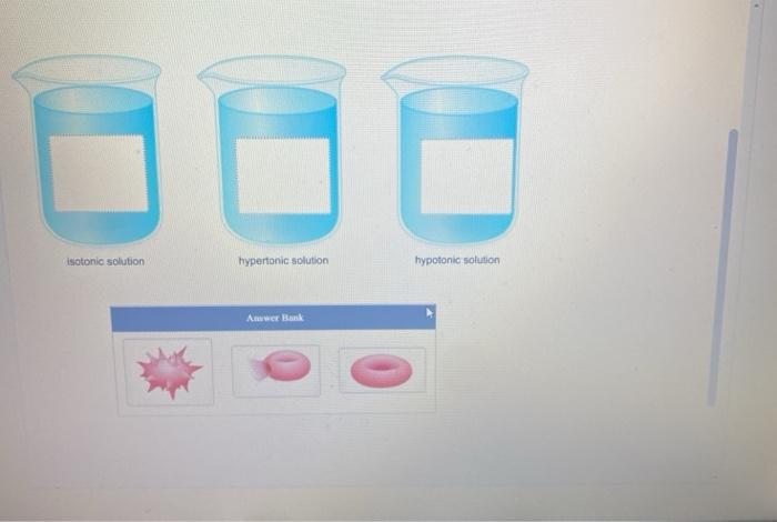 Solved L Isotonic solution hypertonic solution hypotonic | Chegg.com