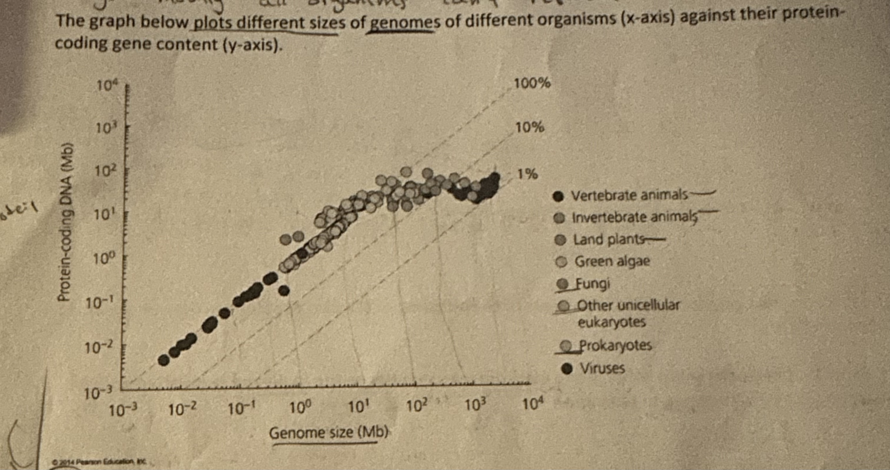 Solved The graph below plots different sizes of genomes of | Chegg.com
