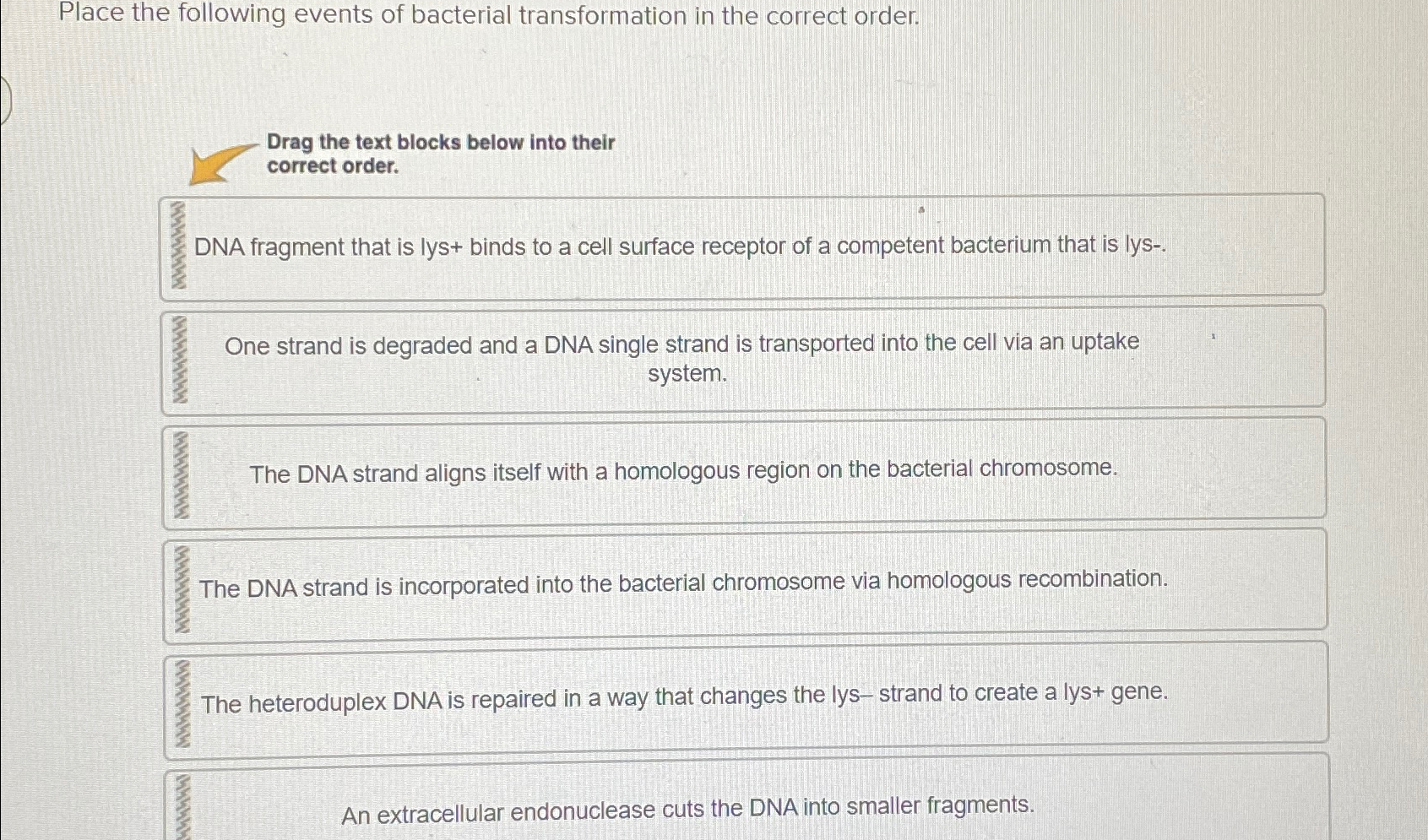 Solved Place the following events of bacterial | Chegg.com