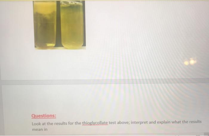 Solved Questions: Look at the results for the thioglycollate | Chegg.com