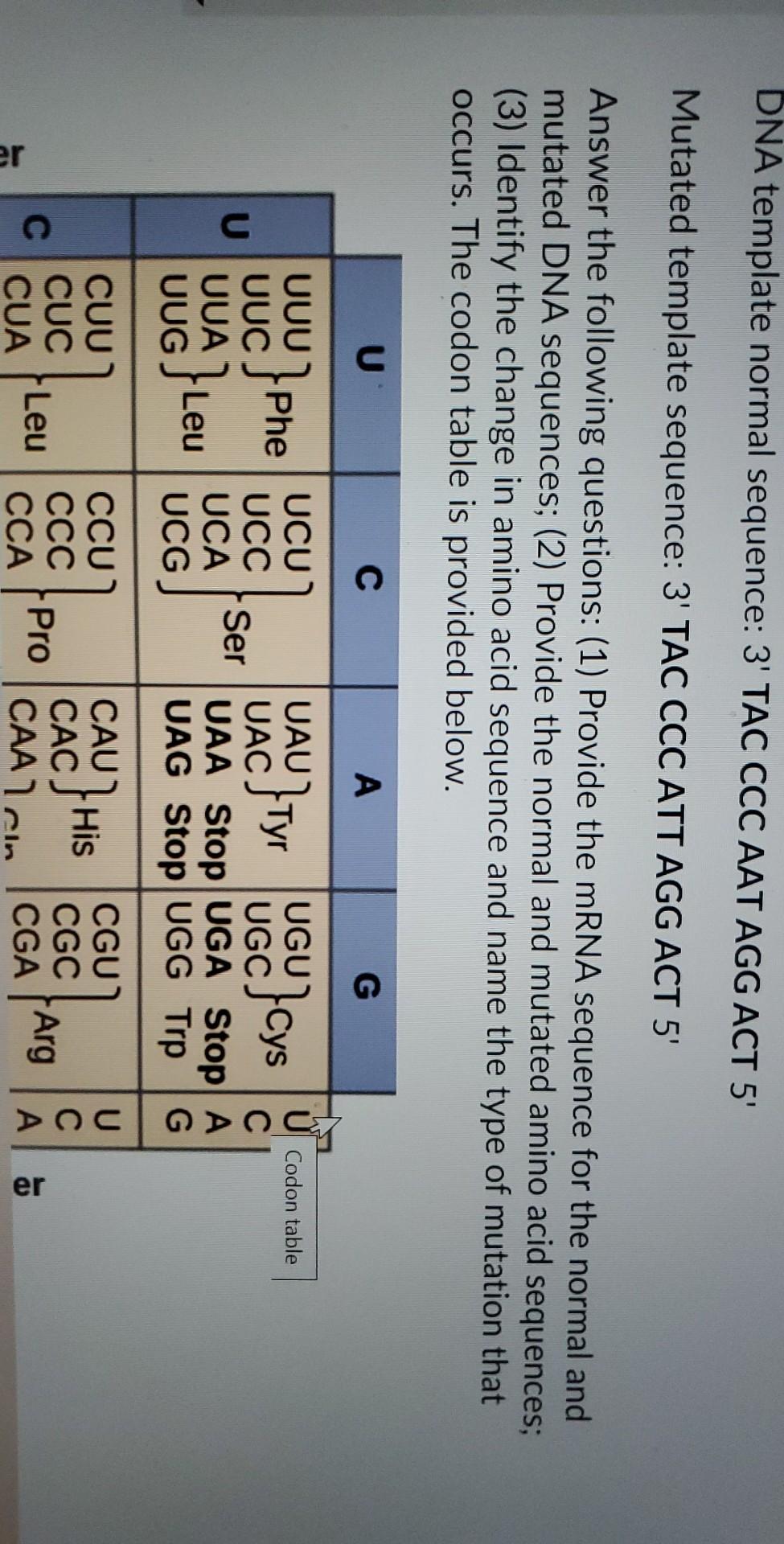 Solved DNA template normal sequence: 3' TAC CCC AAT AGG ACT | Chegg.com