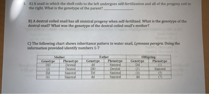 Solved 1. A) A snail in which the shell coils to the left | Chegg.com