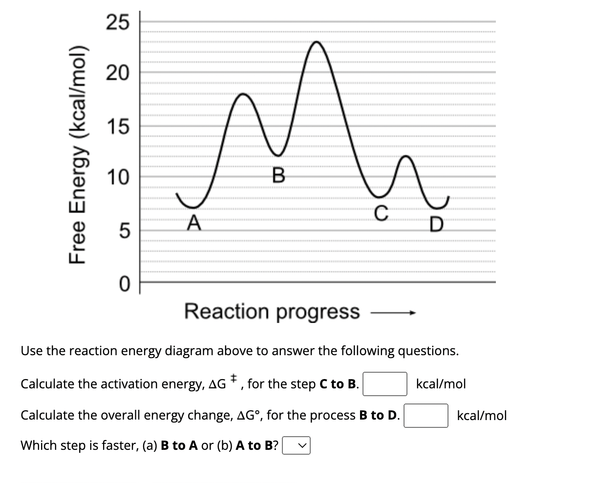 Please help! Thank you so much. | Chegg.com