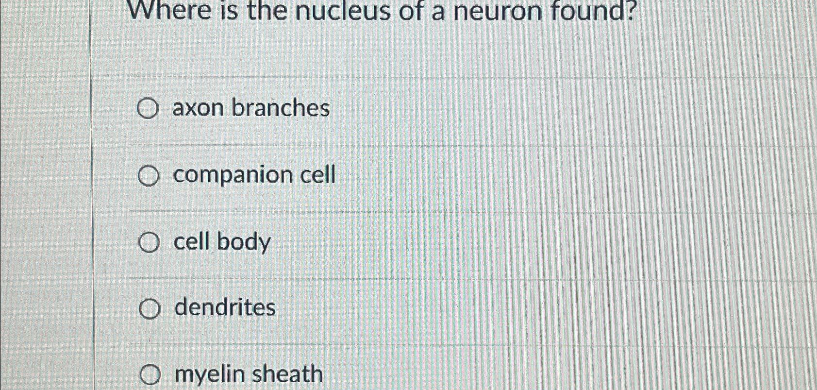 Solved Where is the nucleus of a neuron found?axon | Chegg.com