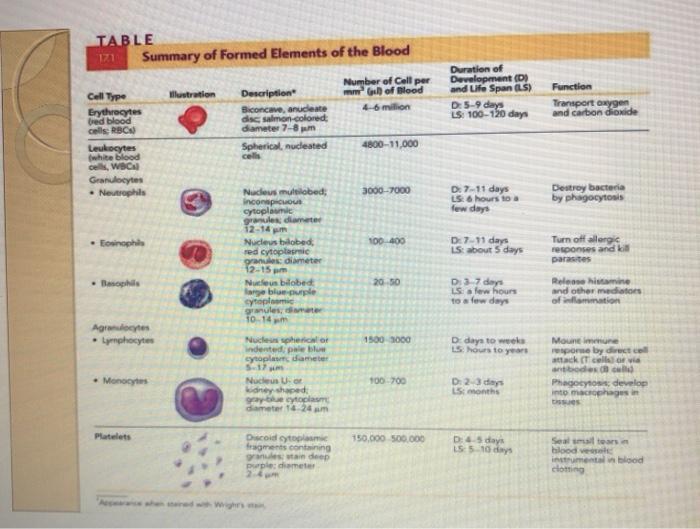 Solved TABLE Summary of Formed Elements of the Blood 171 | Chegg.com