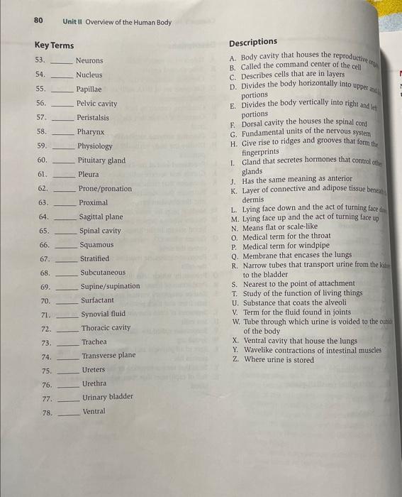 Solved 80 Unit II Overview of the Human Body Key Terms | Chegg.com