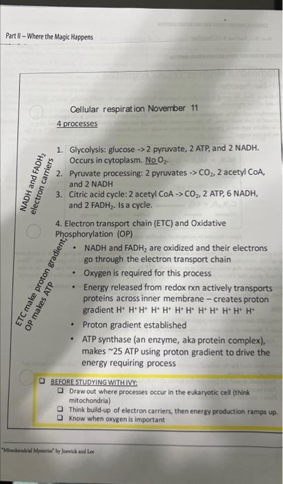 Solved 1. Using Ali's class notes (see next page), complete | Chegg.com