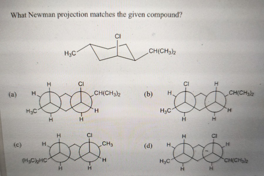 Solved What Newman projection matches the given compound? СІ | Chegg.com