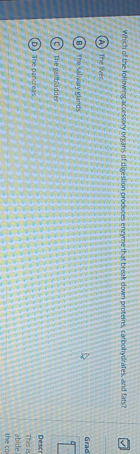 Solved Which of the following accessory organs of digestion | Chegg.com