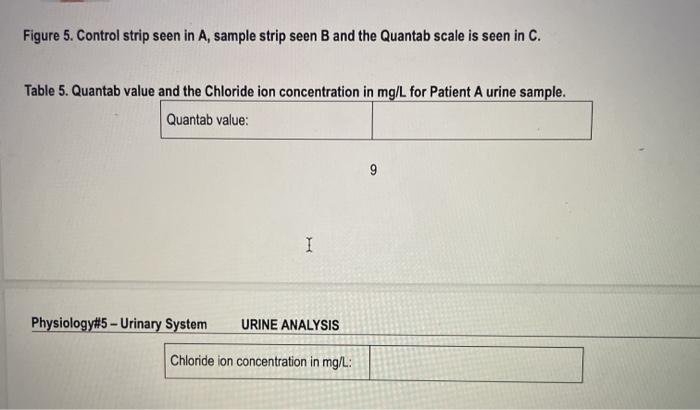 Solved record the Quantab value and the chloride ion | Chegg.com