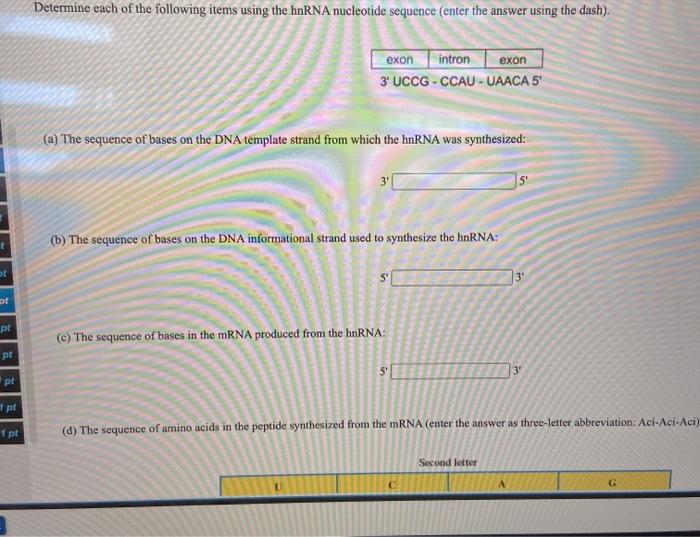 Solved Determine each of the following items using the hnRNA | Chegg.com