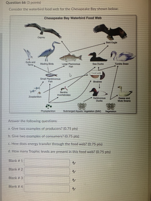 Solved Question 66 (3 points) Consider the waterbird food | Chegg.com
