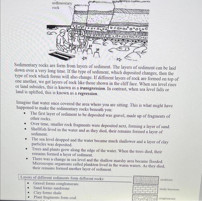 Solved Sedimentary rocks are form from layers of sediment. | Chegg.com