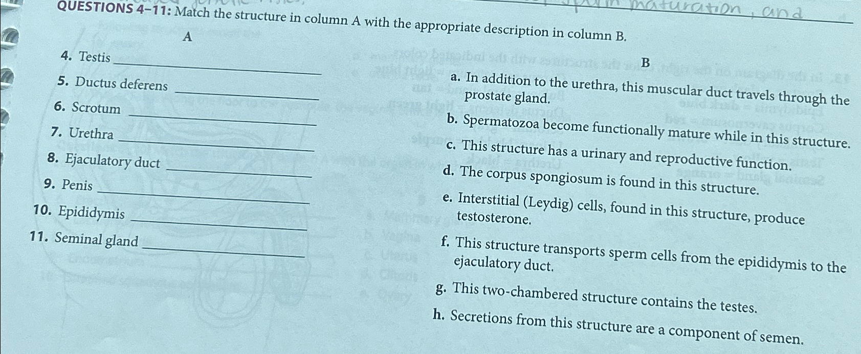 Solved QUESTIONS 4-11: Match the structure in column A with | Chegg.com
