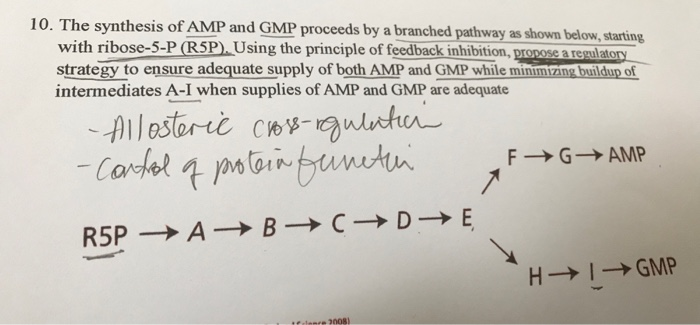 Solved 10. The synthesis of AMP and GMP proceeds by a | Chegg.com