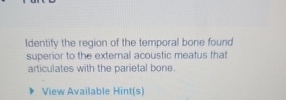 Solved Identify the region of the temporal bone | Chegg.com