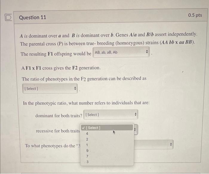 Solved A is dominant over a and B is dominant over b. Genes | Chegg.com