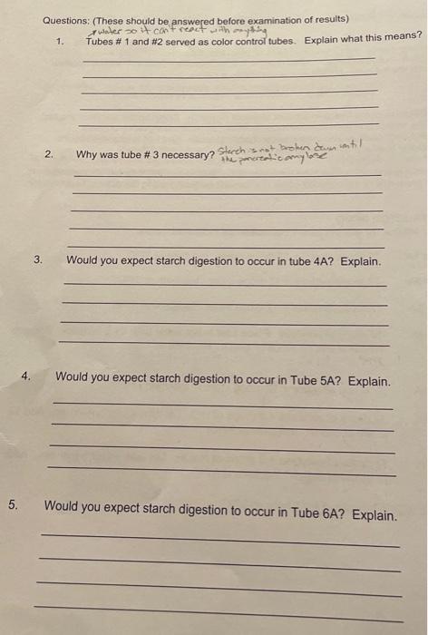 Solved Activity 1: Starch Digestion by Salivary Amylase - | Chegg.com