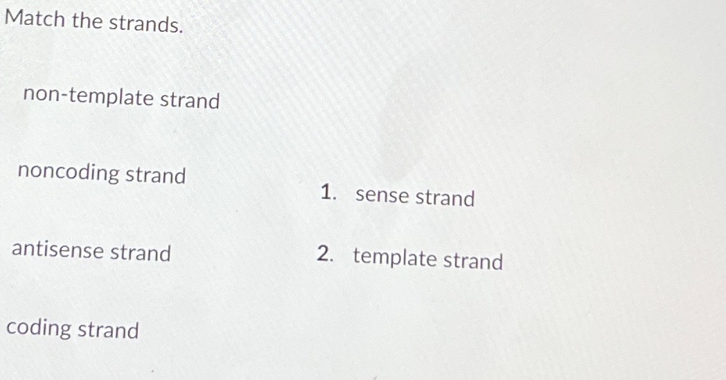 Solved Match the strands as either 1) ﻿sense strand or 2) | Chegg.com
