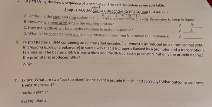 Solved to pts) Using the below sequence of a complete mRNA | Chegg.com