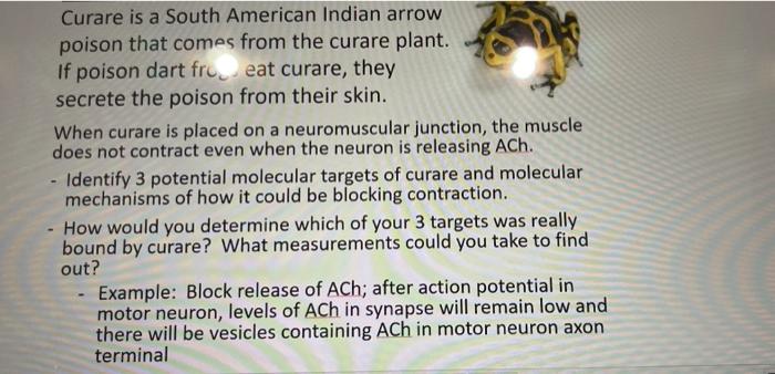 Solved Curare is a South American Indian arrow poison that | Chegg.com