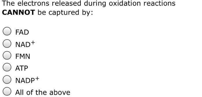 Solved The electrons released during oxidation reactions | Chegg.com