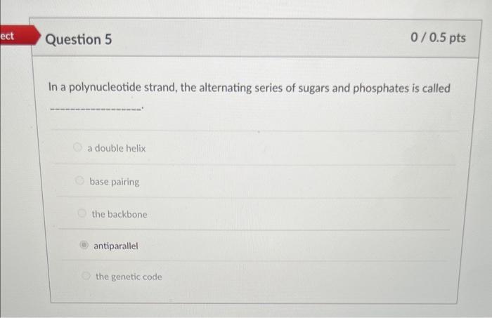 Solved In a polynucleotide strand, the alternating series of | Chegg.com