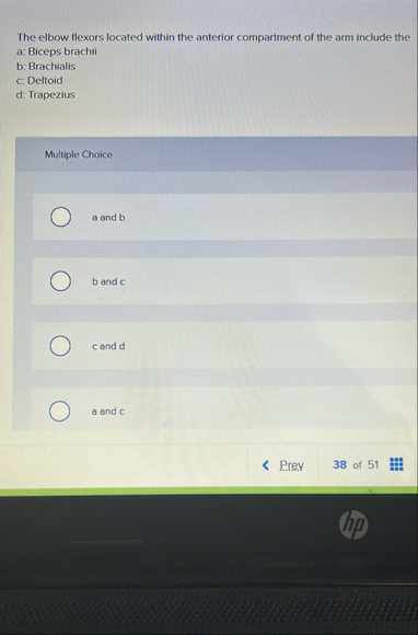 Solved The elbow flexors located within the anterior | Chegg.com