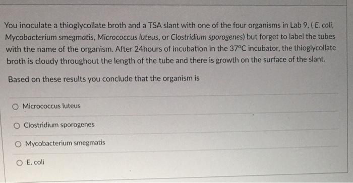 Solved You inoculate a thioglycollate broth and a TSA slant | Chegg.com