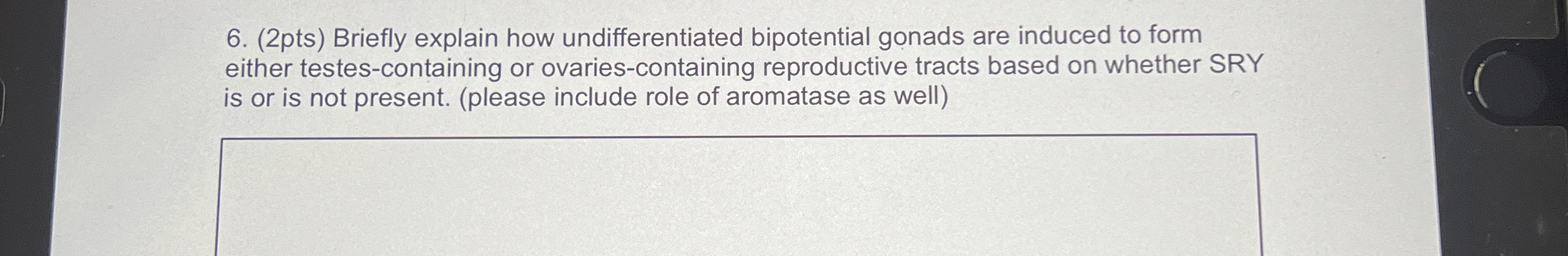 (2pts) ﻿Briefly explain how undifferentiated | Chegg.com