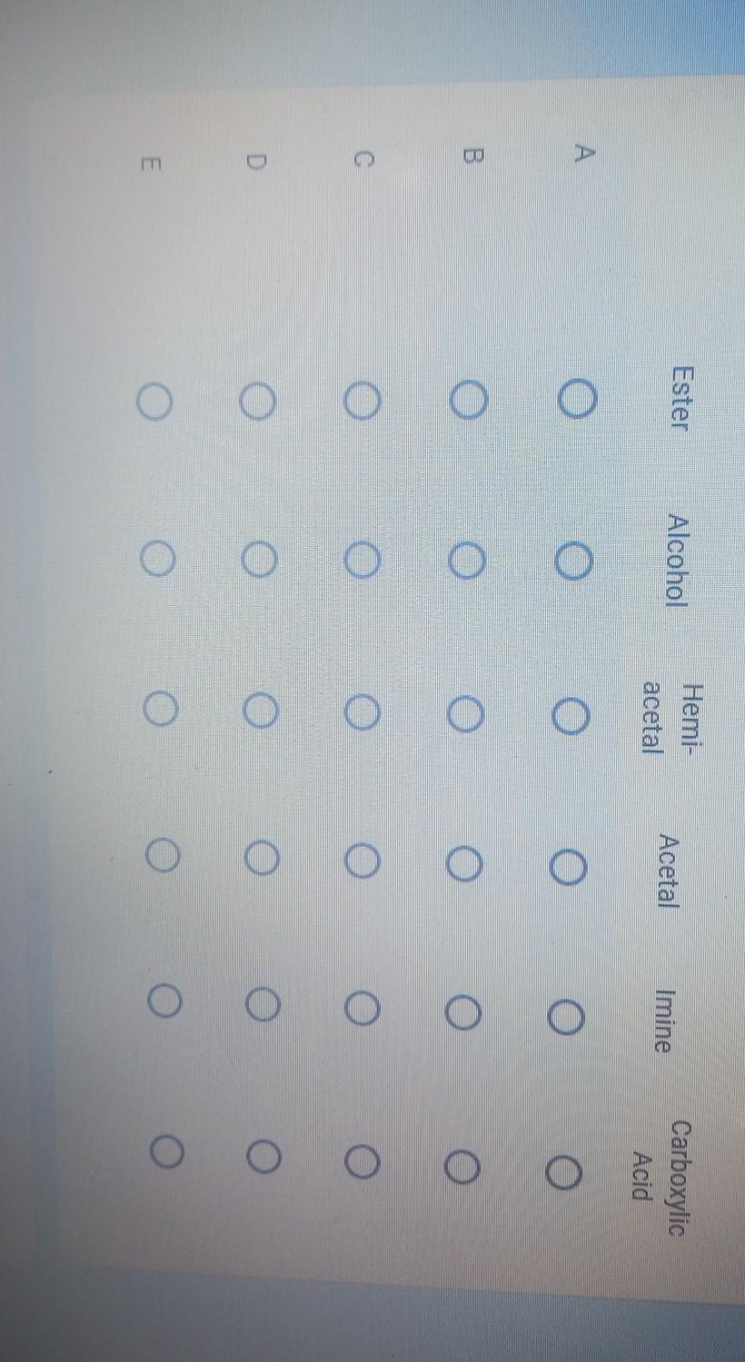 Solved Name each of the circled functional groups В Ex ОН - | Chegg.com