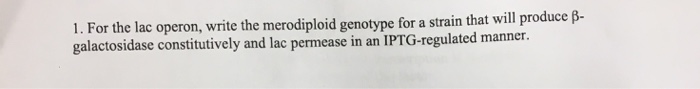 Solved 1. For the lac operon, write the merodiploid genotype | Chegg.com