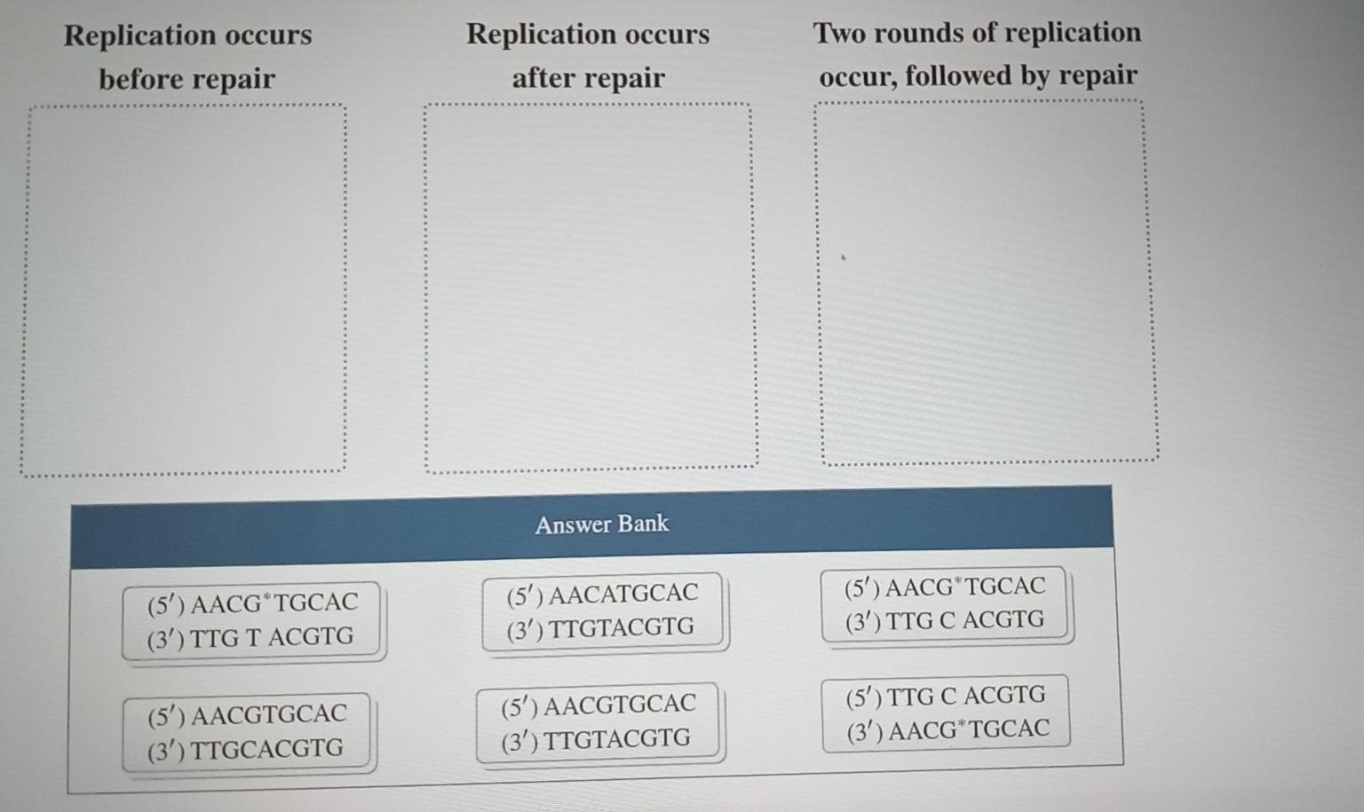 Solved Correct answer please | Chegg.com Solved Correct answer please | Chegg.com