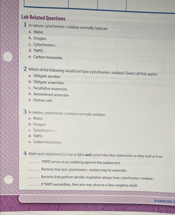 Cytochrome C Comparison Lab Answer Key Comparison Lab