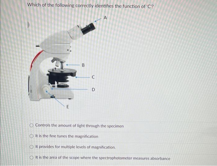 Solved Which of the following correctly identifies the | Chegg.com