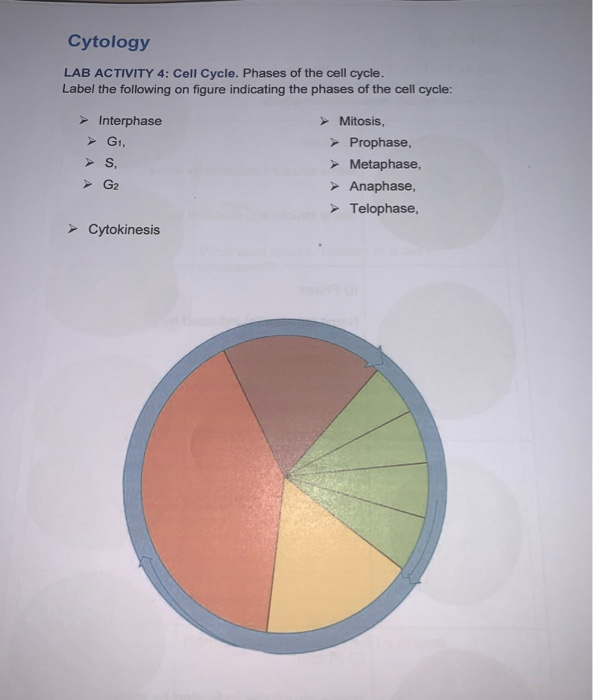 Solved Cytology (nome) section) Complete PreLab Activities | Chegg.com