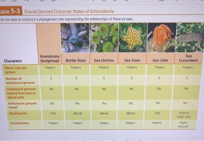 Solved 191 able 5-3 Shared Derived Character States of | Chegg.com
