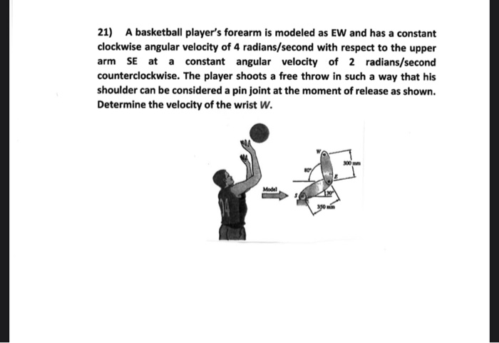 Solved 21) A basketball player's forearm is modeled as EW | Chegg.com