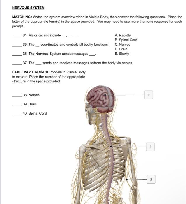 Solved MATCHING: Watch the system overview video in | Chegg.com