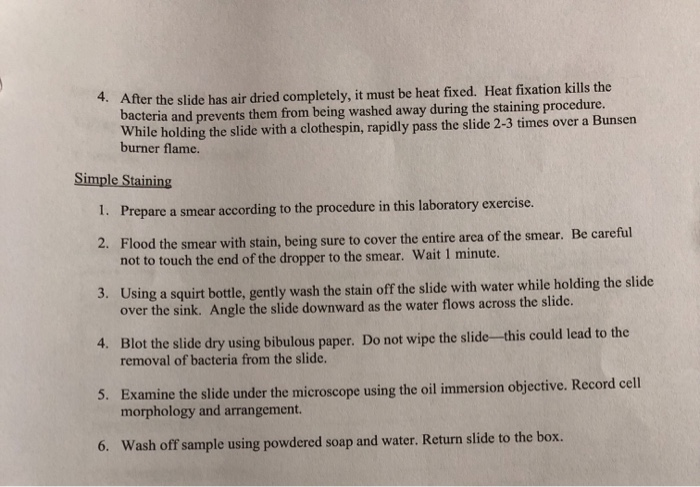 3-Preparation of Bacterial Smears and Simple Stains | Chegg.com