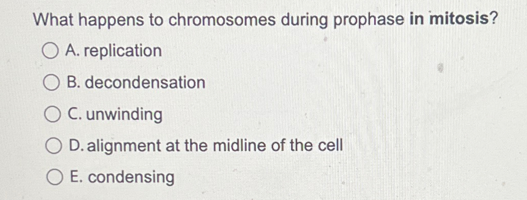 Solved What happens to chromosomes during prophase in | Chegg.com
