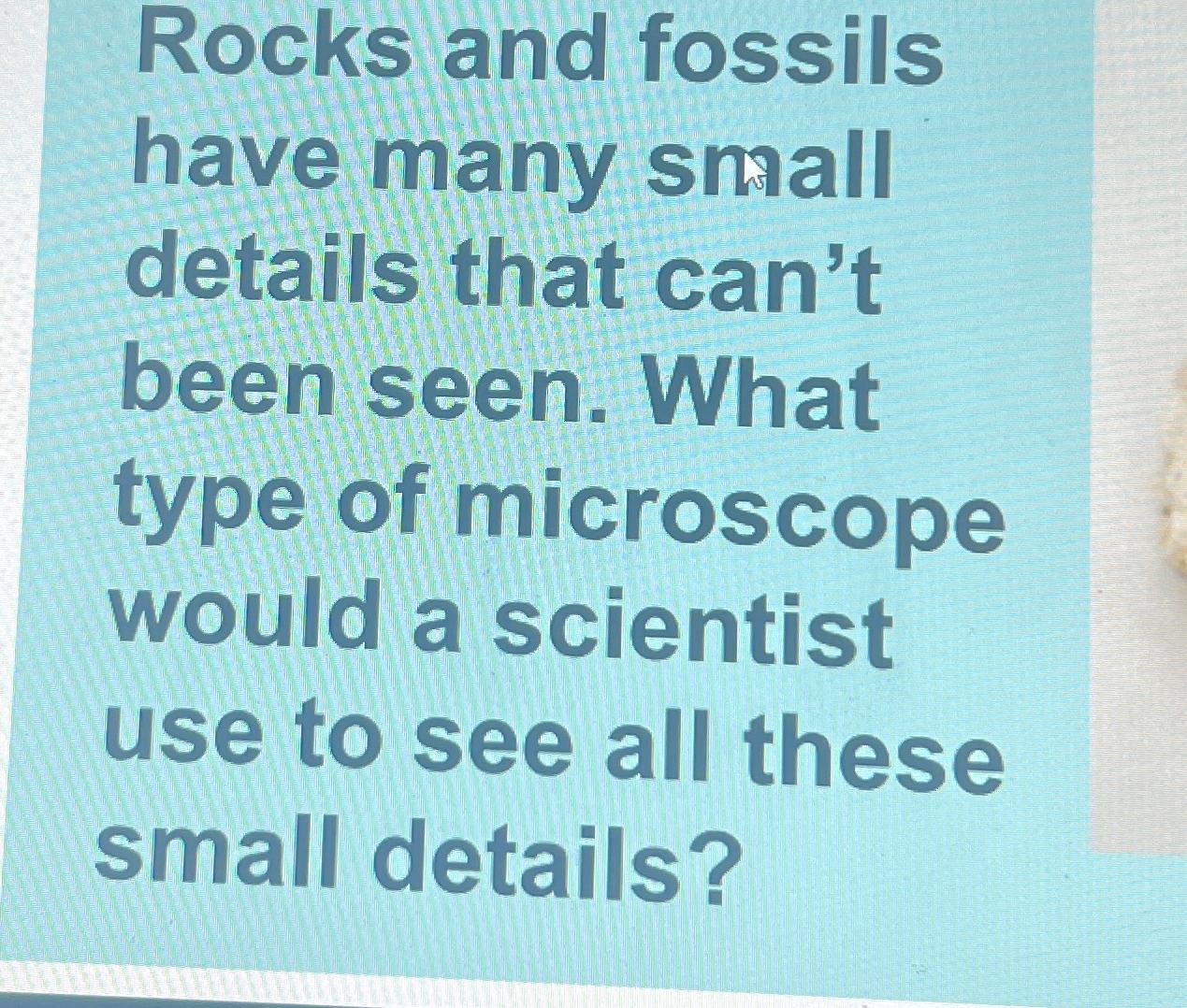 Solved Rocks and fossils have many small details that can't | Chegg.com