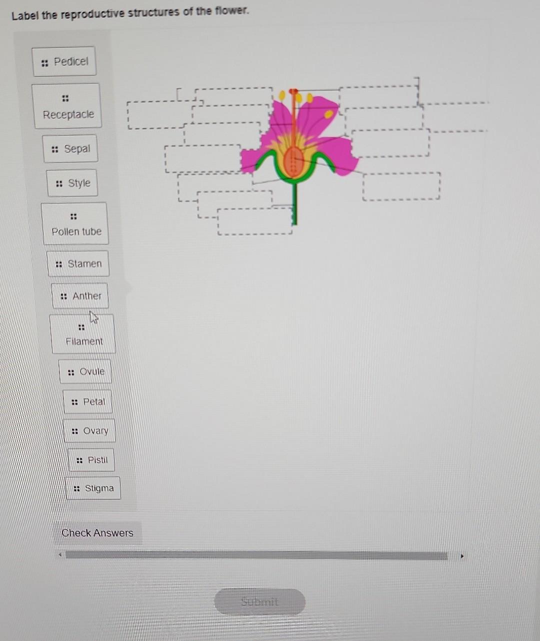 Solved Label the reproductive structures of the flower. | Chegg.com