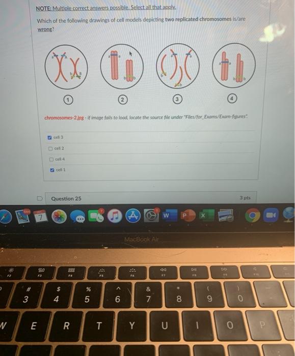 Solved NOTE: Multiple correct answers possible. Select all | Chegg.com