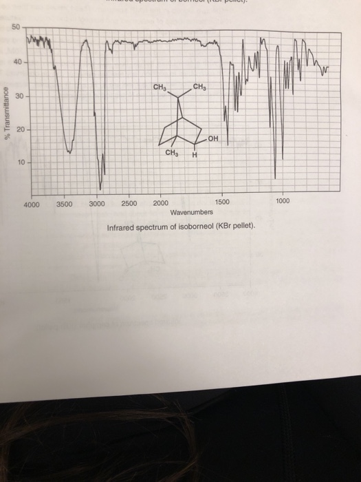Solved interpret the major absorption bands in the infrared | Chegg.com