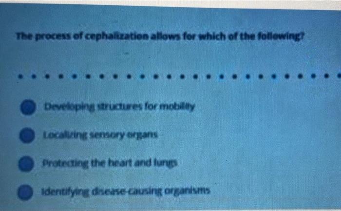 Solved The process of cephalization allows for which of the | Chegg.com