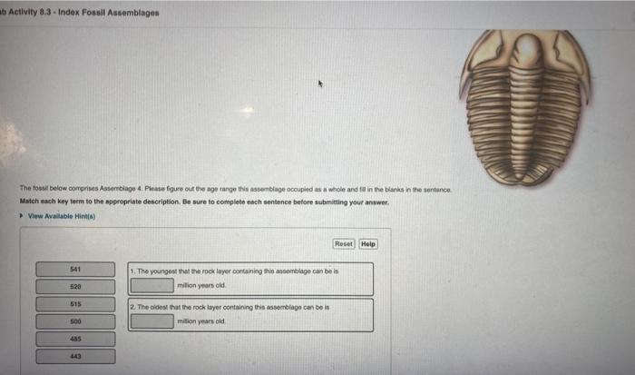 Solved ab Activity 8.3 - Index Fossil Assemblages The fossil | Chegg.com