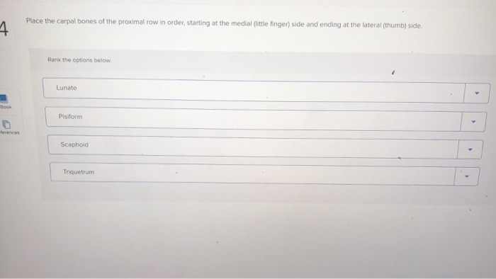 Solved Place the carpal bones of the proximal row in order, | Chegg.com