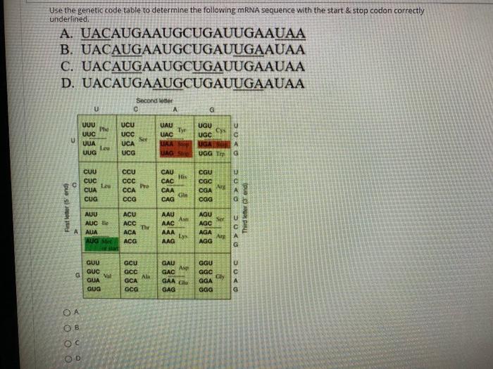 Solved underlined Use the genetic code table to determine | Chegg.com